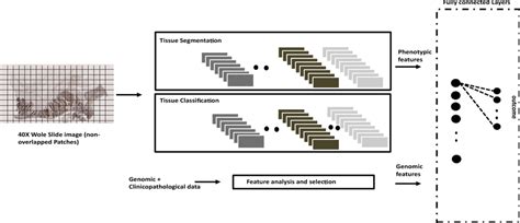 The Integration Of Both Structured And Unstructured Data To Build A Download Scientific Diagram