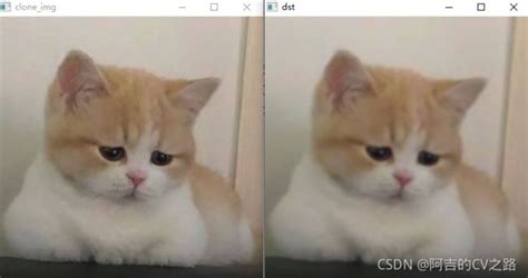 Opencv图像处理之均值滤波 线性滤波二