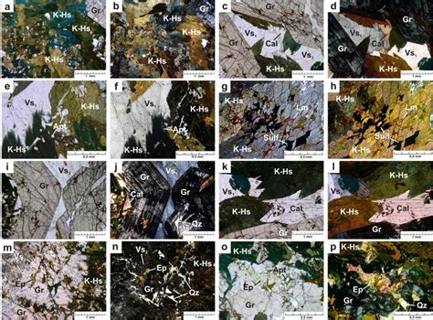 Photomicrographs Of The Mineral Assemblages And Their Textural Download Scientific Diagram