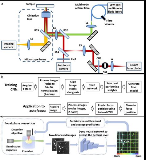 Different Types Of Deep Learning Assisted Autofocus System A Download Scientific Diagram