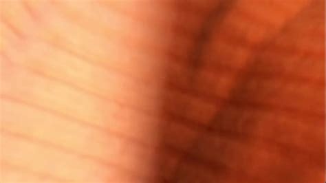 Vacations Creampie Search Xvideos Com