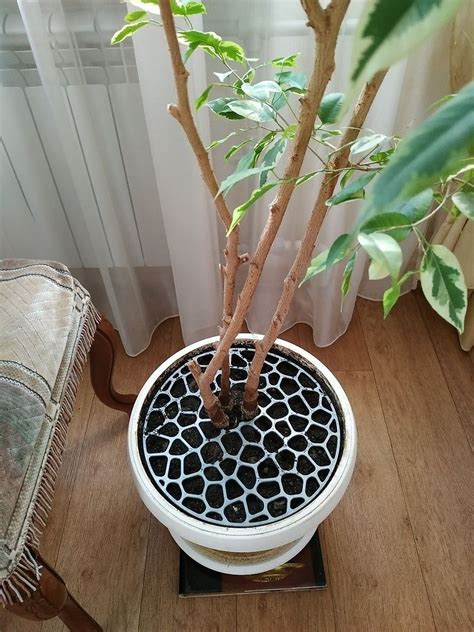 Простое недорогое и очень эстетичное решение для защиты цветов с помощью сетки для раковины от