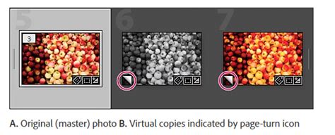 Solved Stacked Photos Look Like Duplicates How Can I U Adobe