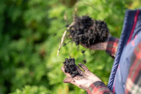 Premium Photo Female Farmer Hold Soil In Hands Monitoring Soil Health On A Farm In Australia