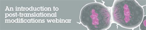 An Introduction To Post Translational Modifications Webinar Abcam
