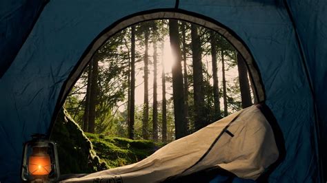 텐트 속에서 듣는 새소리 자연 소리 Asmr 숙면 명상 힐링 독서 집중에 좋은 소리 Youtube