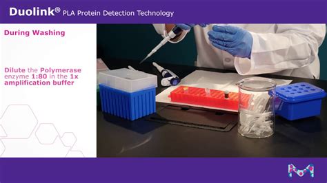 Duolink® Pla From Milliporesigma Youtube