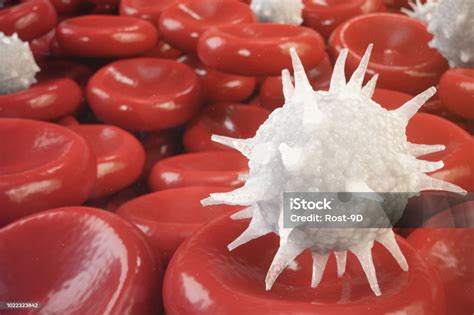 적혈구 백혈구 또는 백혈구 세포 면역 체계 감염의 세포 이다 인간의 의학 개념입니다 3d 그림입니다 혈소판에 대한 스톡 사진 및 기타 이미지 Istock