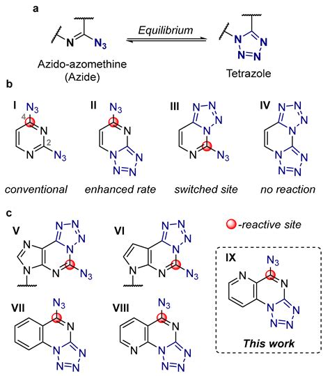 Pyrimidine Molecule