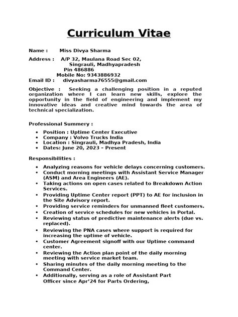 Curriculum Vitae Pdf Computing