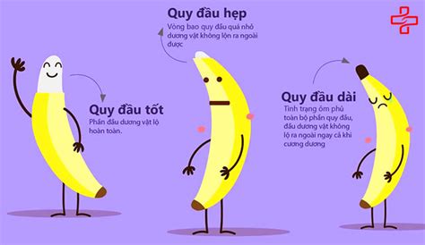 Hình ảnh Bao Quy đầu Bình Thường Và Hình ảnh đàn ông đã Cắt Bao Quy đầu