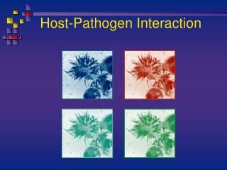 PPT Host Pathogen Interactions PowerPoint Presentation Free Download ID