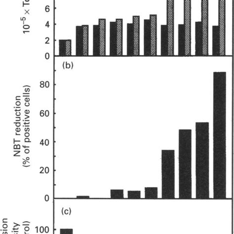 Cell Growth Nbt Reduction And Parp Expression In Nb4 Cells Treated