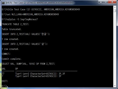 Oracle Character Set 변환2 3 Client 환경 구성1 생산성 Skill