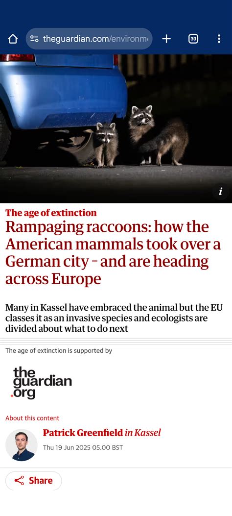 Invasion Of The Trash Pandas Album On Imgur