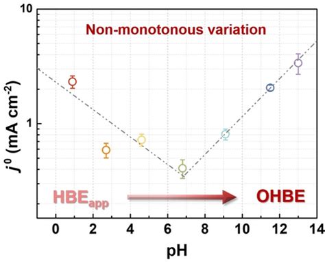 The Role of Discrepant Reactive Intermediates on Ru‐Ru2P ...