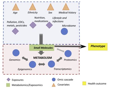 Metabolomics Its Applications And Its Intersection With Machine