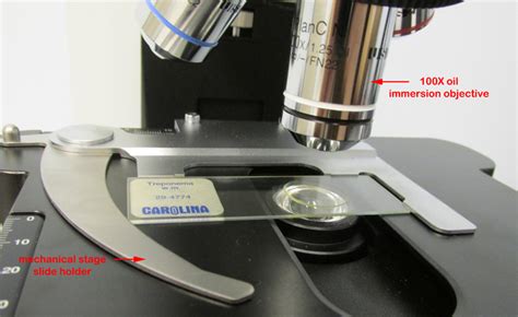 Biol 230 Lab Manual Lab 1