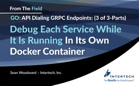 Go Debugging Each Service While It Is Running In Its Own Docker Container