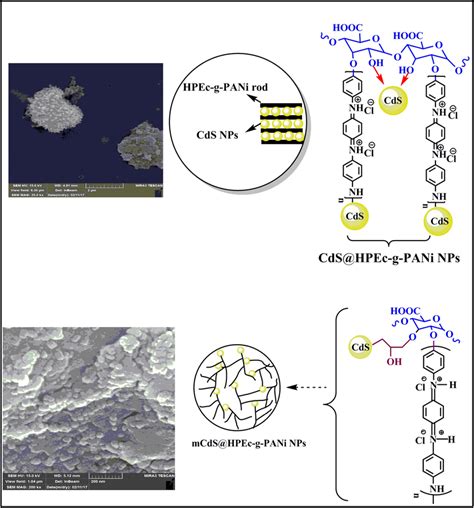 The Schematic Representation Of Synthesized Nanostructures With Download Scientific Diagram