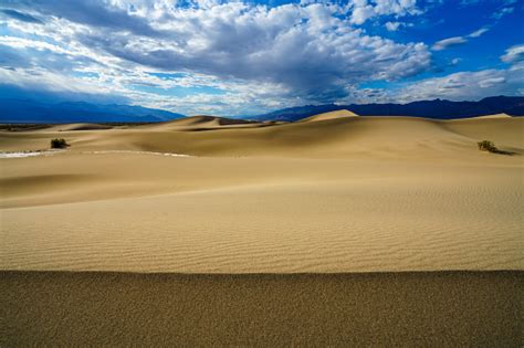 데스 밸리 캘리포니아 미국에서 메스키트 플랫 모래 언덕 경관에 대한 스톡 사진 및 기타 이미지 경관 계곡 관광 Istock