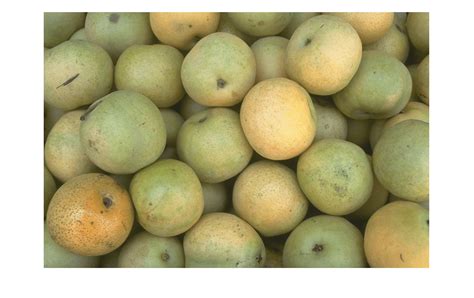 Blockproc Distinct Block Processing For Image Matlab