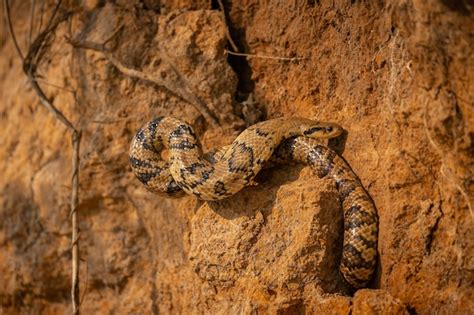 Удаление пробелов из строк в python эффективные методы и примеры