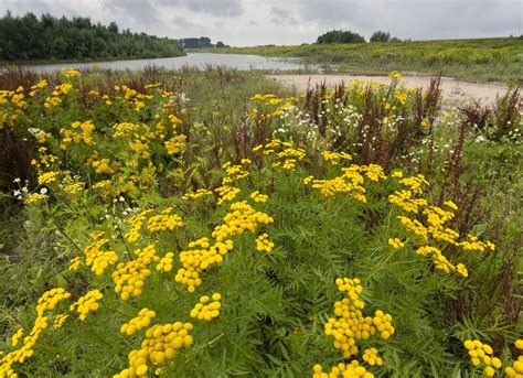 Sandra De Wit Posted On Linkedin