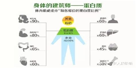 关于蛋白质和乳清蛋白的那些事 知乎