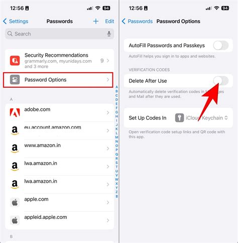 How To Automatically Delete OTP And Verification Codes On IOS 17