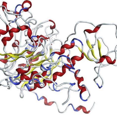 The Binding Model Of Alkaline Phosphatase A The Amino Acid Residues