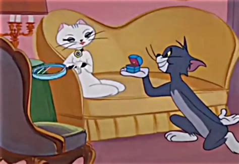 Tom E Jerry Toodles Jerry Mouse Mammy Two Shoes Nibbles Tom Cat