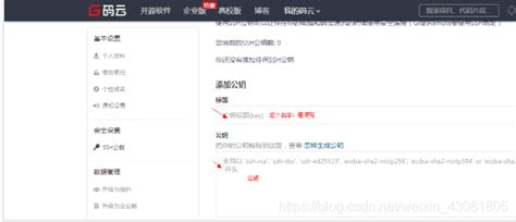 码云添加ssh公钥并测试 码云ssh公钥是干嘛 csdn博客