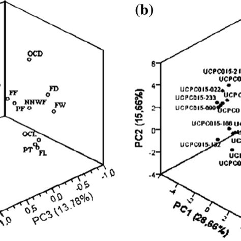 Three Dimensional Pca Of Papaya Genotypes A Three Dimensional Pca Plot
