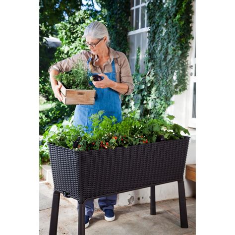Keter Easy Growing Planter Pots And Planters Mitre 10™