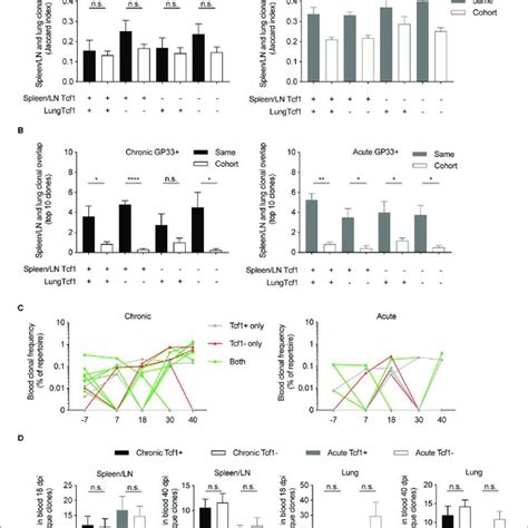 Clonally Expanded Virus Specific T Cells Detected In The Spleenln