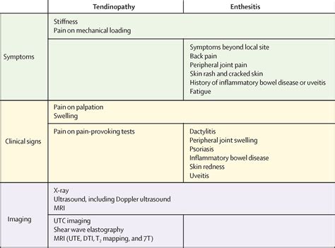 Pathways Driving Tendinopathy And Enthesitis Siblings Or Distant