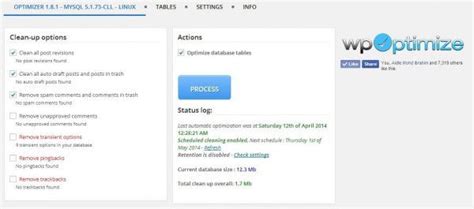 Cleaning Up Your Wordpress Database To Optimize Your Websites Performance