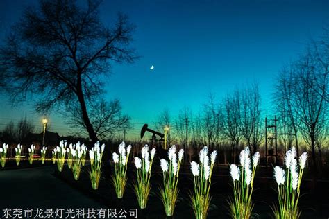 草坪芦苇灯 芦苇灯 大山谷图库