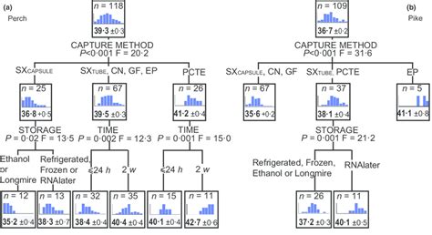 chi square automatic interaction detector decision trees relating three