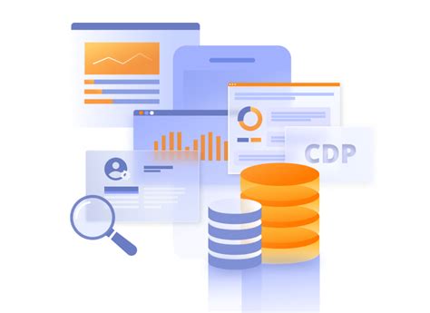 Multifunctional Customer Data Platform Cdp
