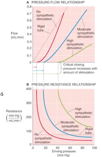 Venous Return Flashcards Quizlet