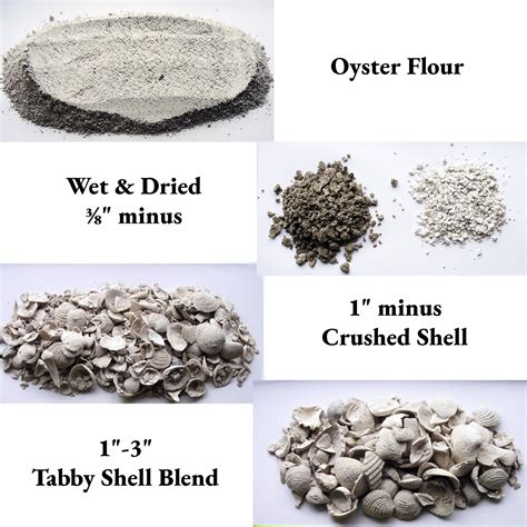 Shell Sample Pack
