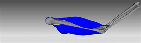 Hybrid Parallelization