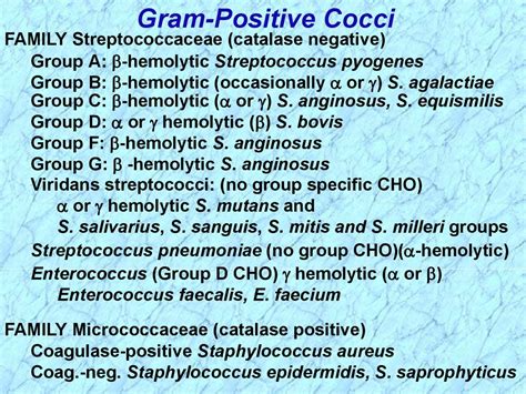 Streptococcus Classification