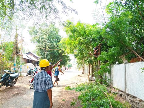 ဆင်ပေါင်ဝဲမြို့၌ ပြည်သူများလျှပ်စစ်ဓာတ်အားများ စဥ်ဆက်မပြတ်ရရှိရေး သစ်ပင