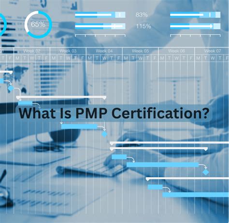 What Is Pmp Certification Microtek Learning
