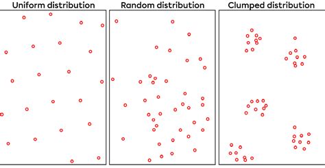 Population Size And Distribution Secondaire Alloprof