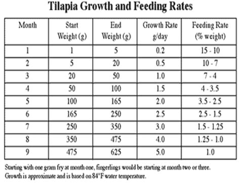 Wille Pille Tilapia Growth Chart