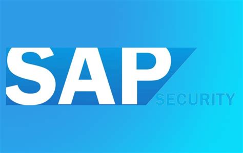 Sap Security Training Csct
